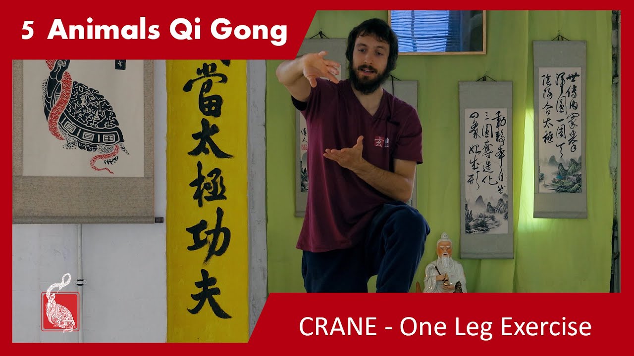 Crane – One Leg Exercise – 5 ANIMALS QI GONG | Hidden Turtle
