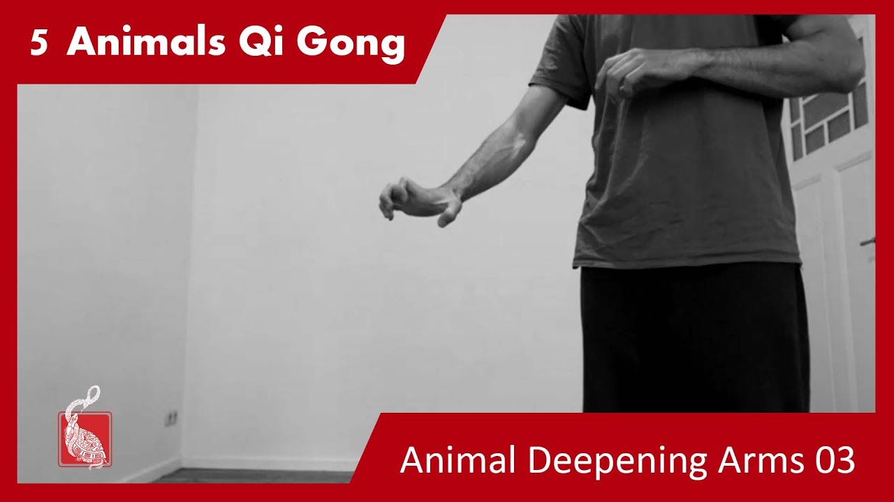 5 Animals Qi Gong | Hidden Turtle