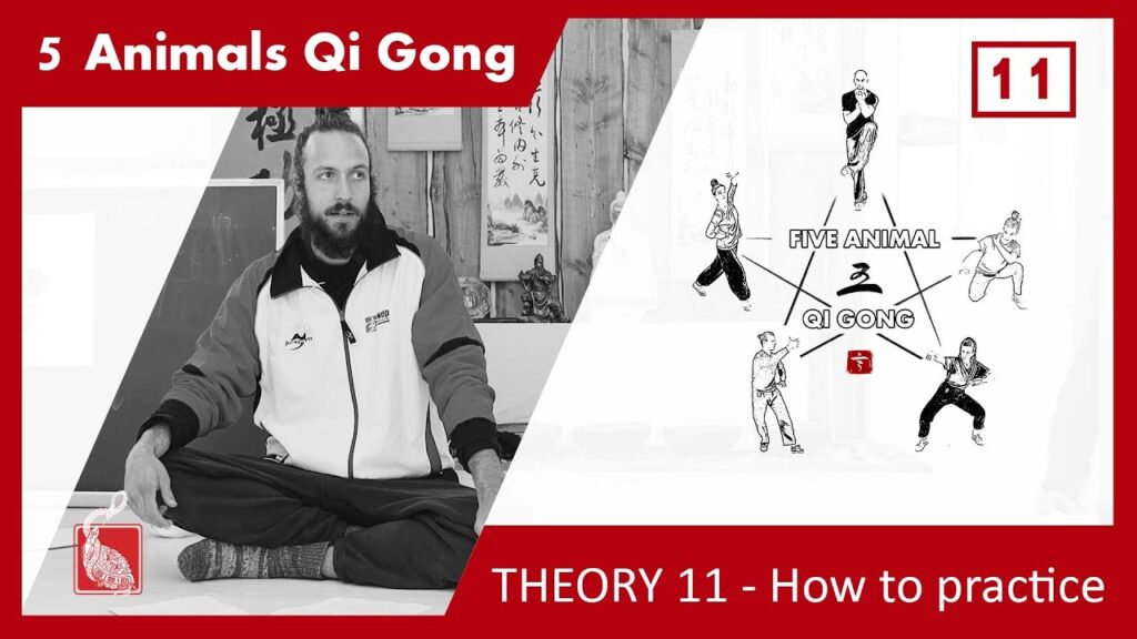 5 Animals Qi Gong | Hidden Turtle
